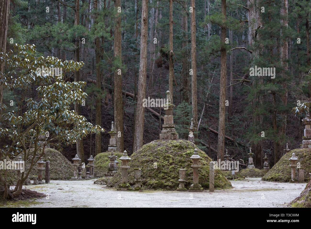 Graves in Okunoin cemetery in Koyasan, Japan Stock Photo - Alamy