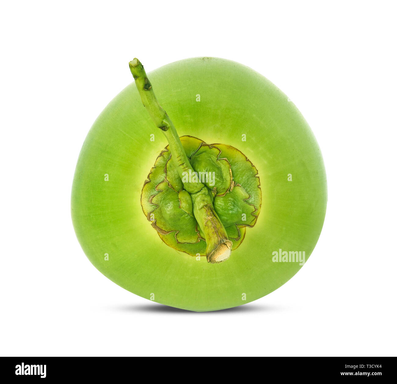 Green coconut Fruit isolated on white background Stock Photo - Alamy