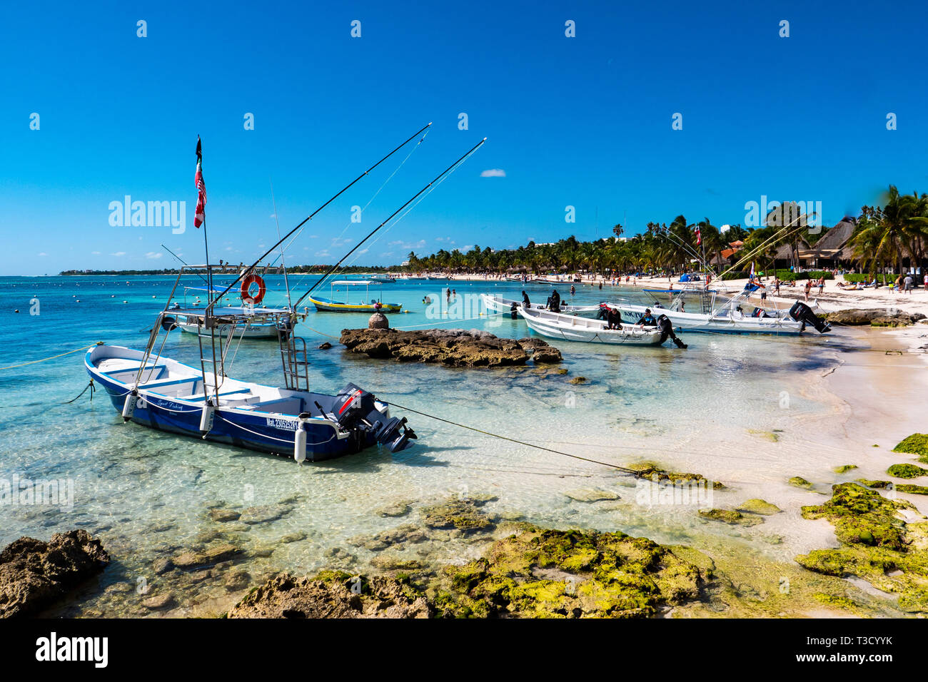 Playa akumal beach hi-res stock photography and images - Alamy