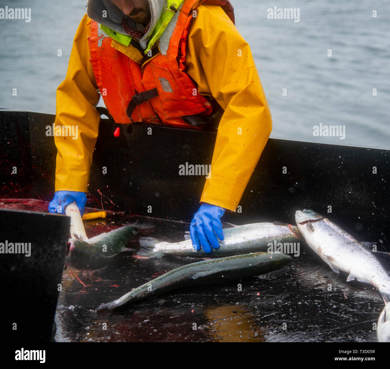 Dispatching hi-res stock photography and images - Alamy