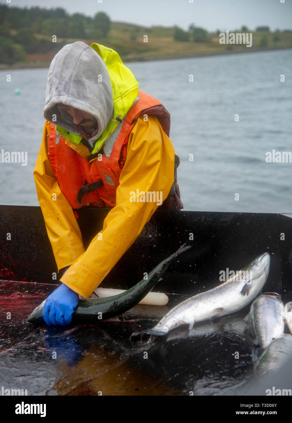 Dispatching hi-res stock photography and images - Alamy