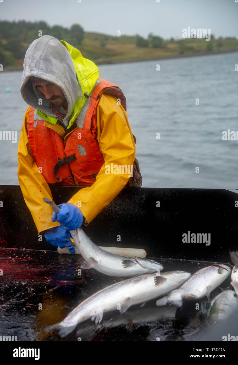 Dispatching hi-res stock photography and images - Alamy