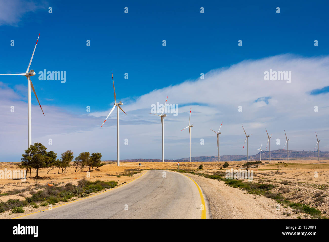 wind turbines at a new wind farm beside King's Highway in Ma'an ...
