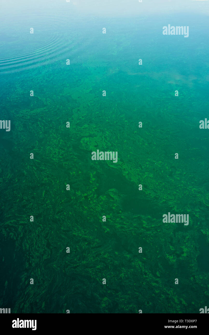 Industrial chemical waste water pollution on river, lake, seaside ...