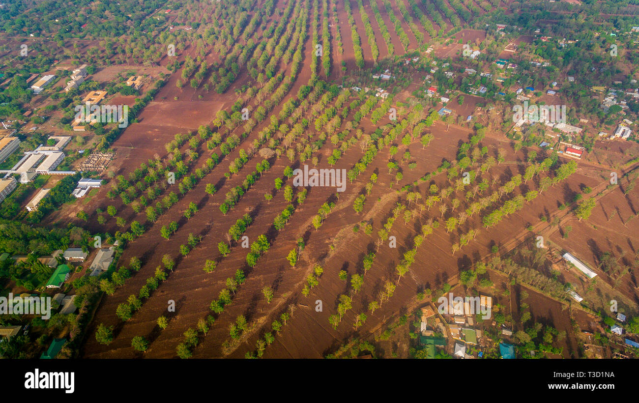 farms in moshi town, Tanzania Stock Photo - Alamy