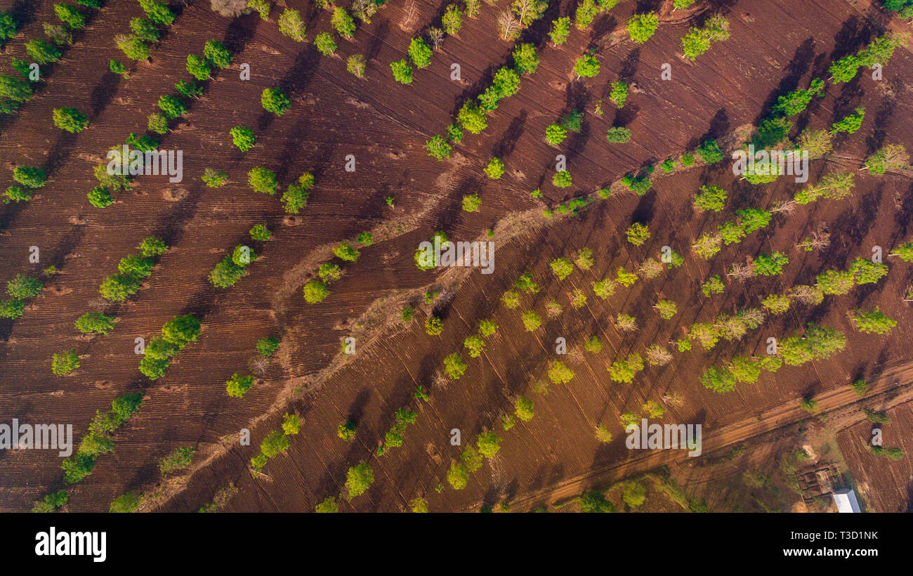 farms in moshi town, Tanzania Stock Photo - Alamy