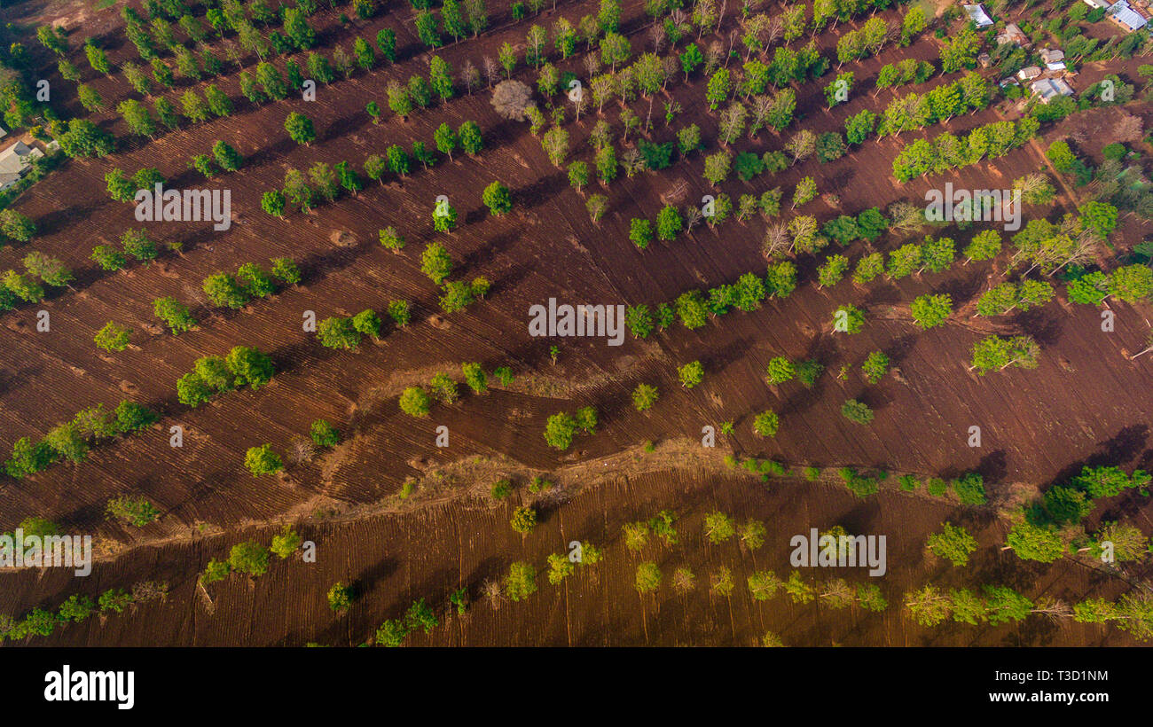 farms in moshi town, Tanzania Stock Photo - Alamy
