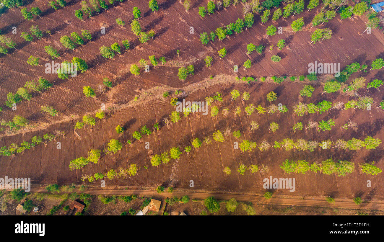 farms in moshi town, Tanzania Stock Photo - Alamy
