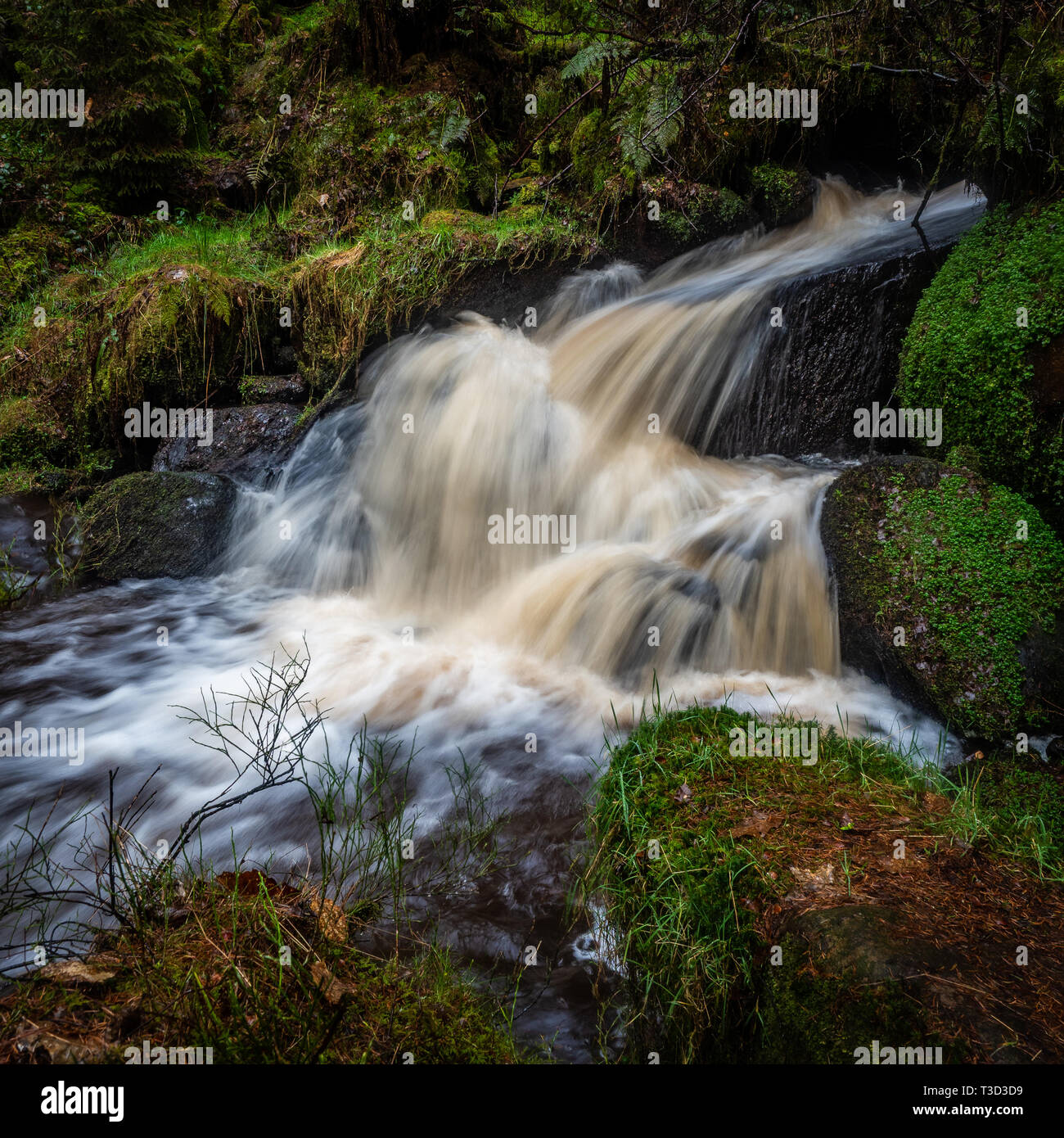 Waterfalls on a small brook in the derbyshire hills after a period of ...