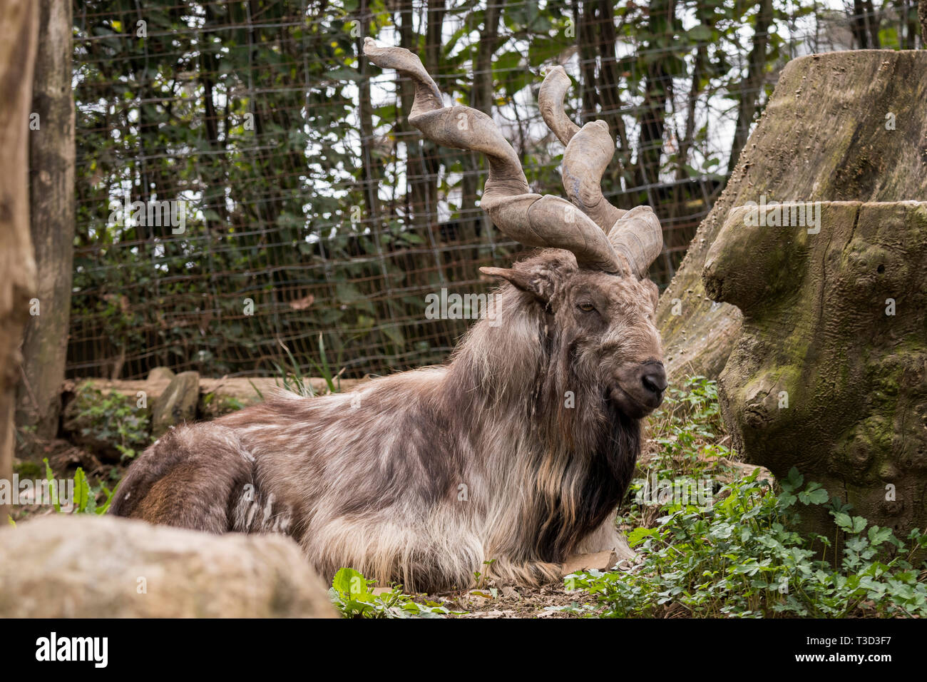 Markor hi-res stock photography and images - Alamy