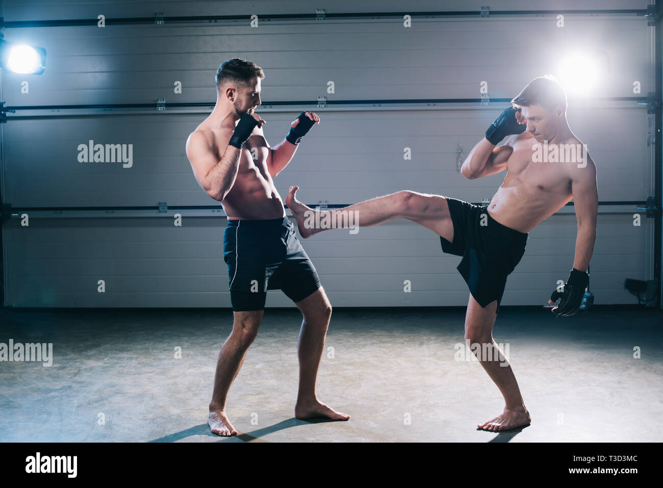 side view of muscular barefoot mma fighter kicking sportive opponent ...
