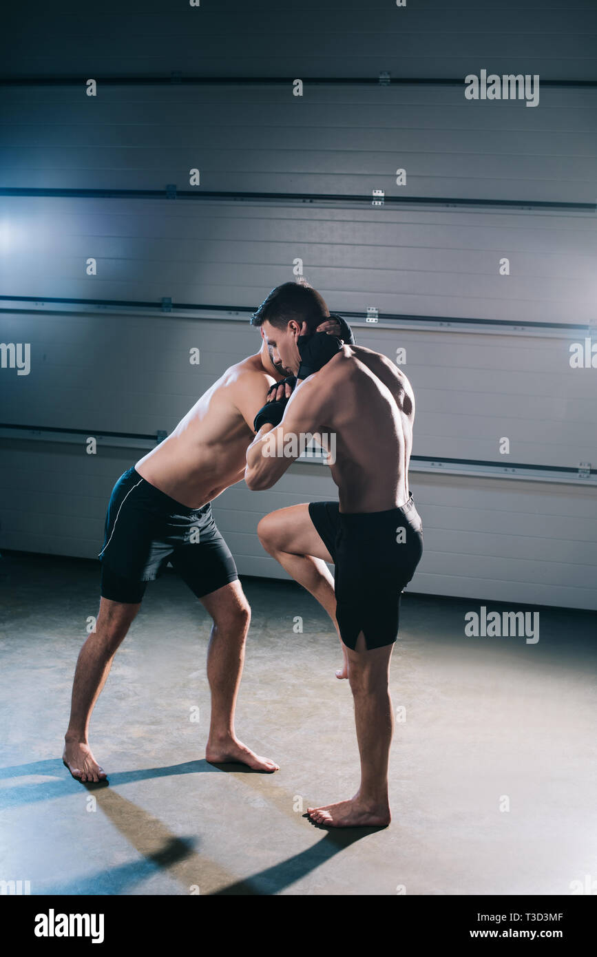 muscular barefoot mma fighter kicking sportive opponent with knee Stock ...