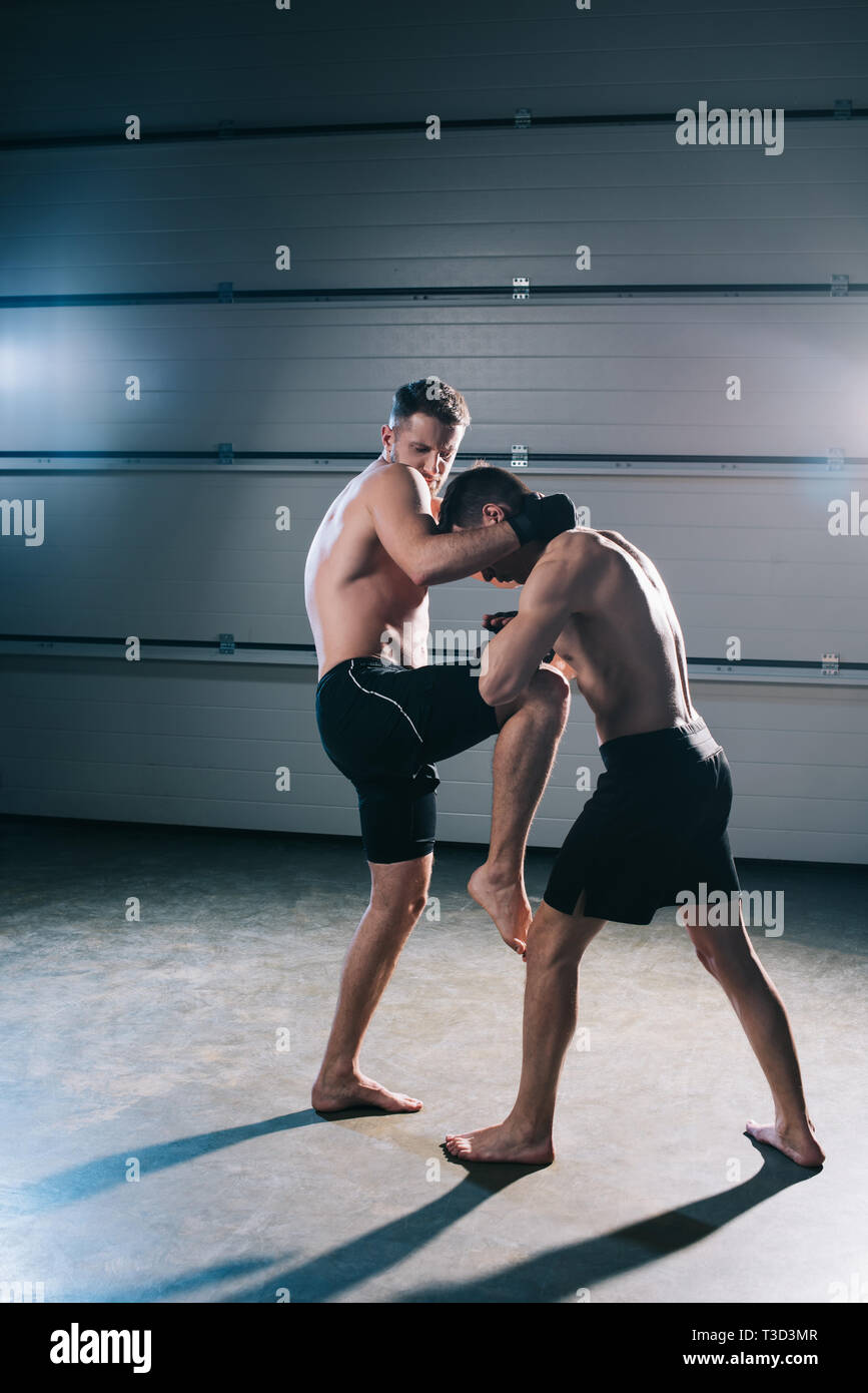 muscular mma fighter kicking sportive opponent with knee Stock Photo ...
