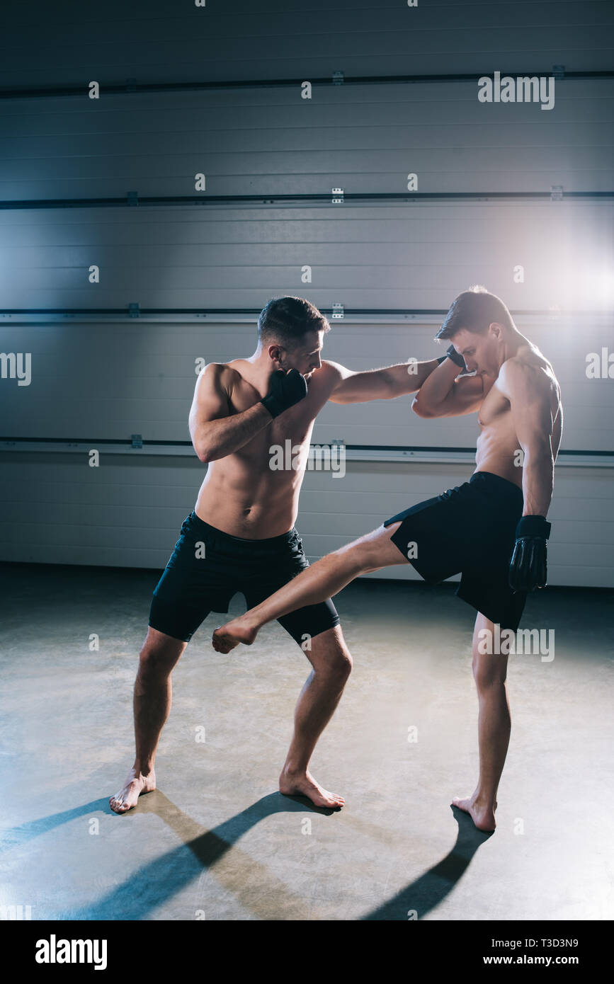 strong shirtless mma fighters kicking and punching one another Stock ...