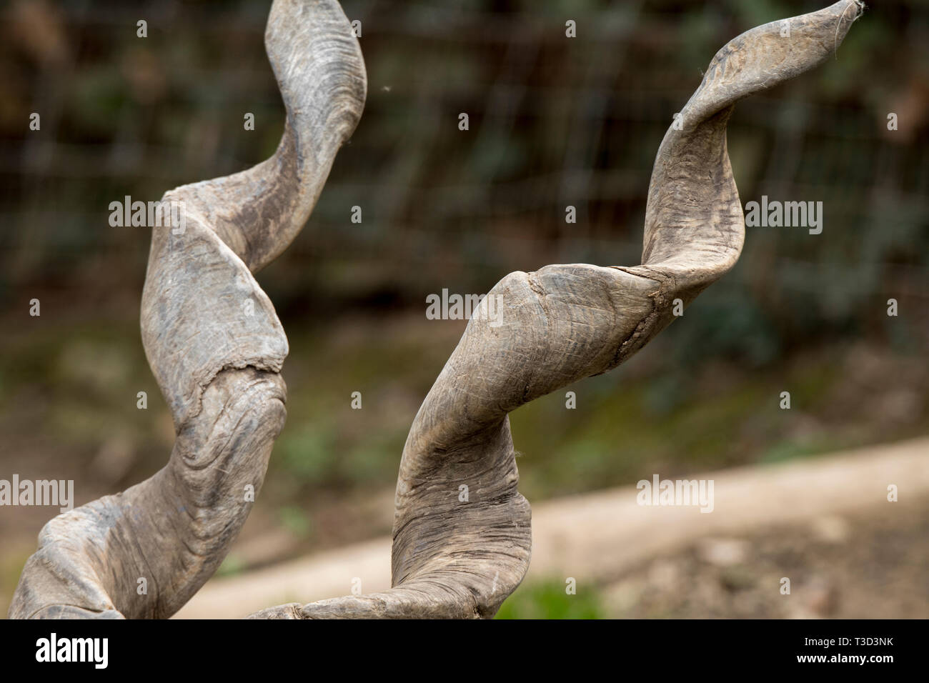 Markor hi-res stock photography and images - Alamy