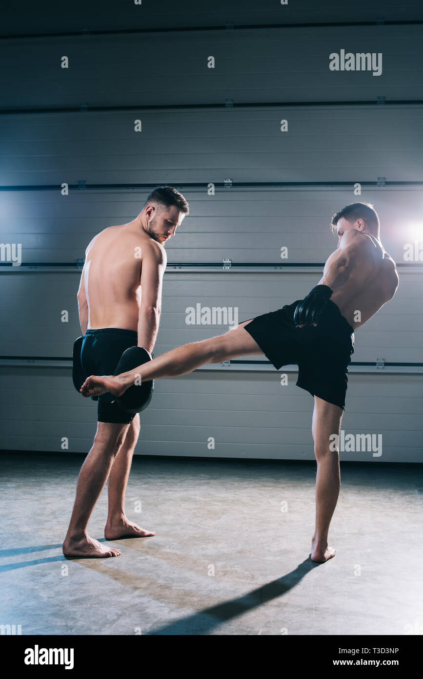 strong muscular shirtless mma fighter practicing low kick with another ...