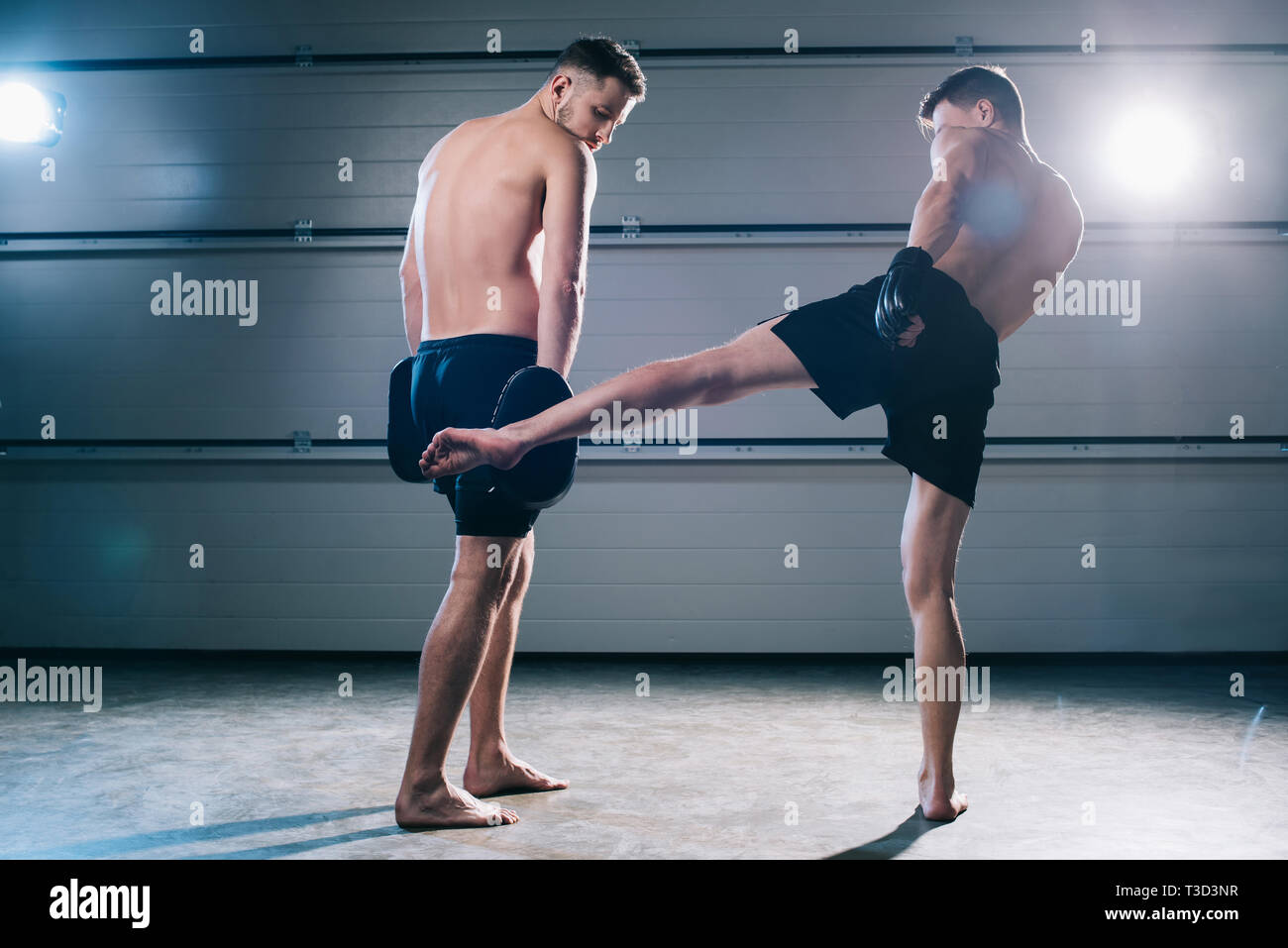 back view of strong muscular barefoot mma fighter practicing low kick ...