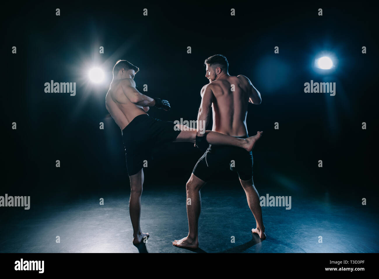back view of shirtless mma fighter kicking another sportsman during ...