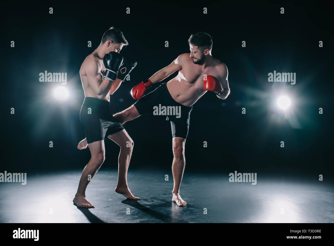 shirtless muscular mma fighter in boxing gloves kicking another in leg ...