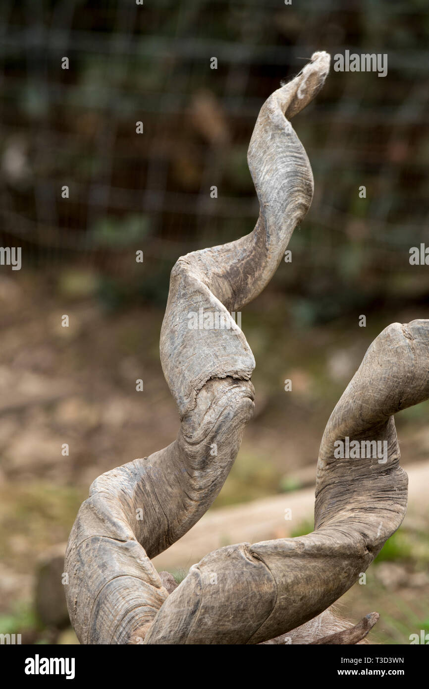 Markor hi-res stock photography and images - Alamy