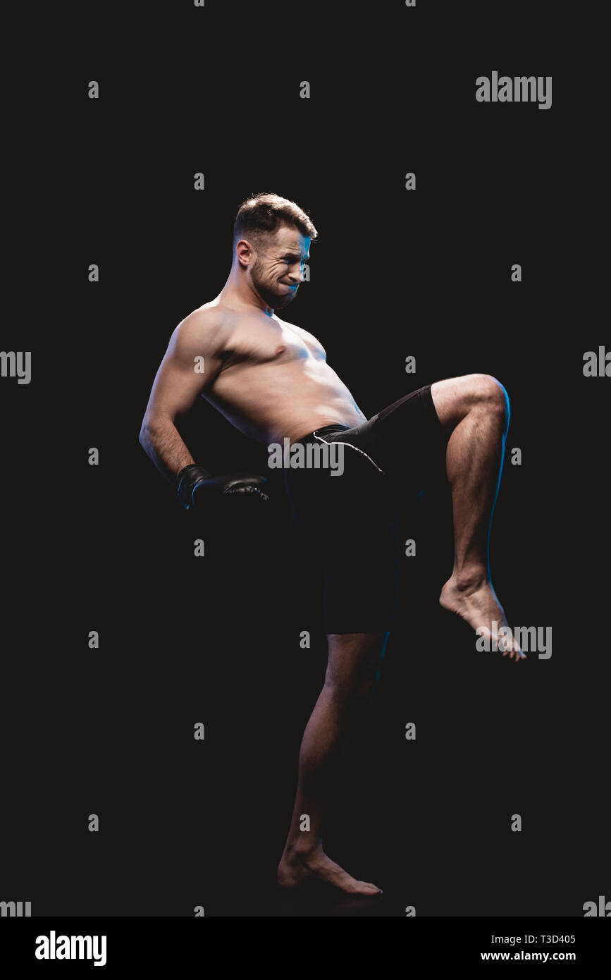muscular barefoot strenuous boxer in boxing gloves doing kick isolated ...