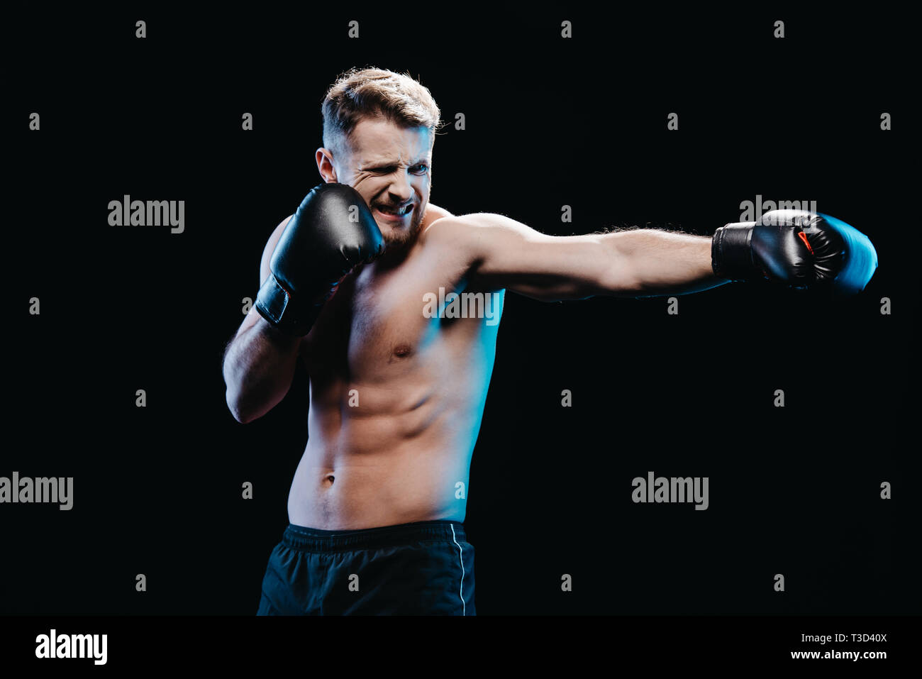 muscular sporty boxer with strenuous face expression in boxing gloves ...