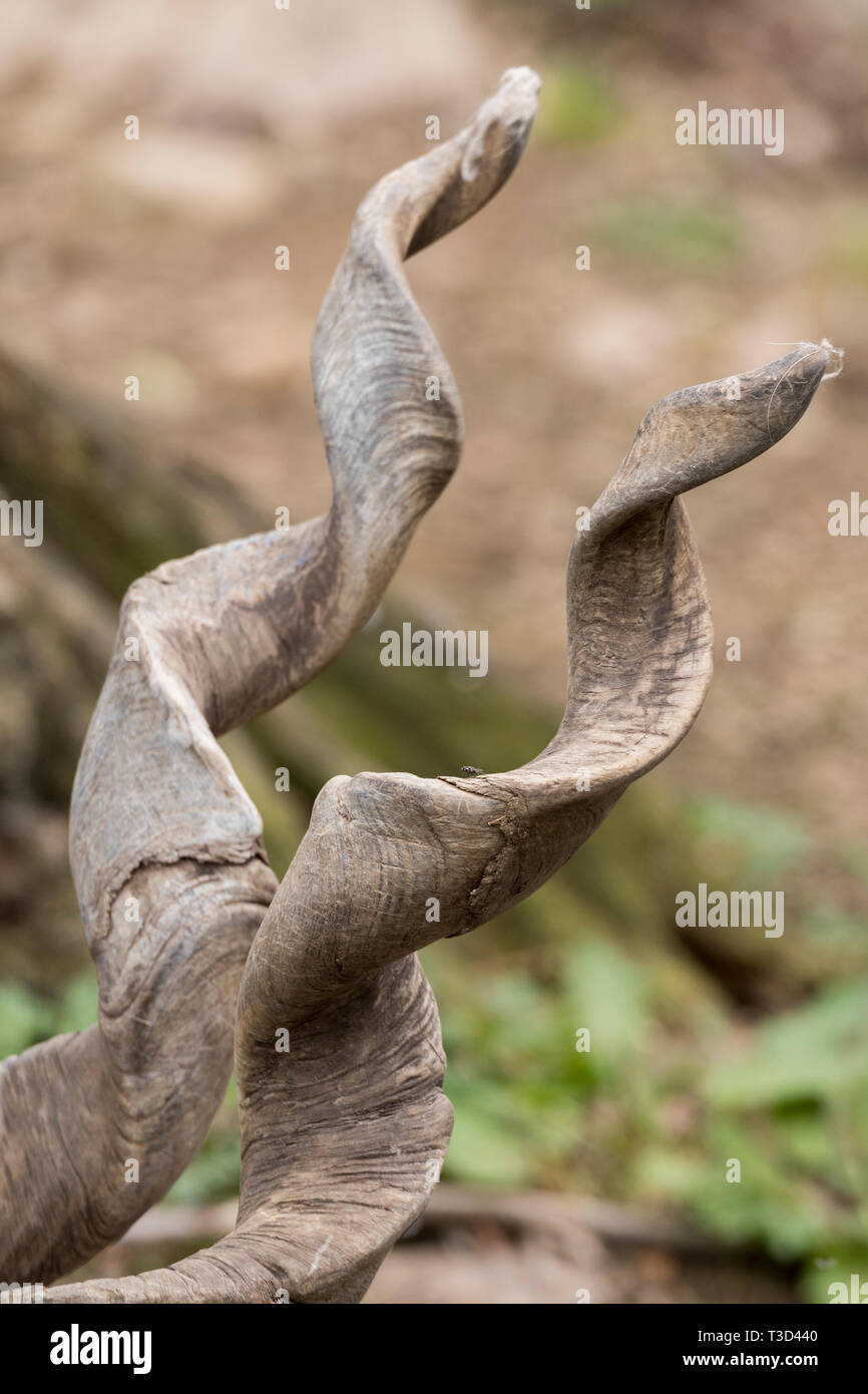 Markor hi-res stock photography and images - Alamy