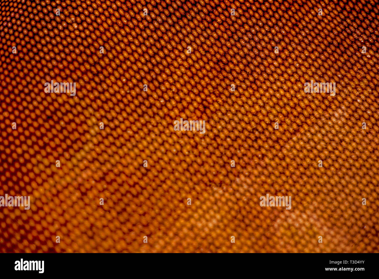 Blurred shedow from perforated net on rusty metal sheet. Surface with ...