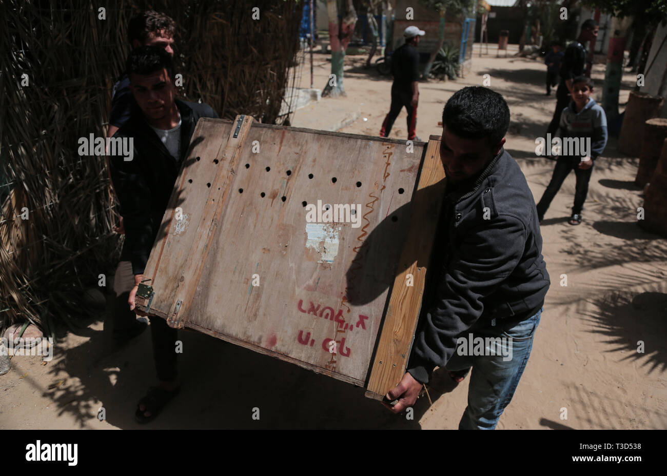 Gaza, Palestine. 07th Apr, 2019. A pet community in Gaza with Four Bows ...