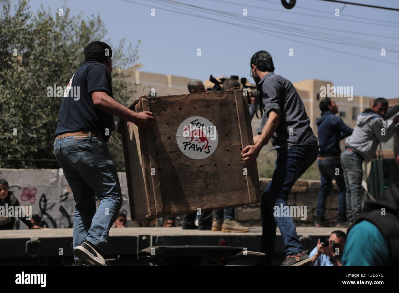 Gaza, Palestine. 07th Apr, 2019. A pet community in Gaza with Four Bows ...