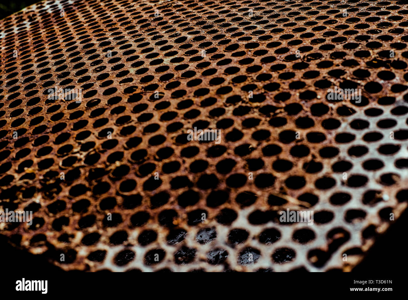 Perforated rusty iron sheet texture. Surface with depth of field ...