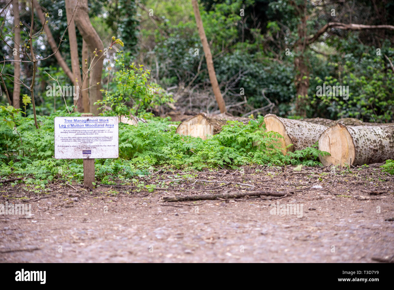 Leg of mutton nature reserve hi-res stock photography and images - Alamy
