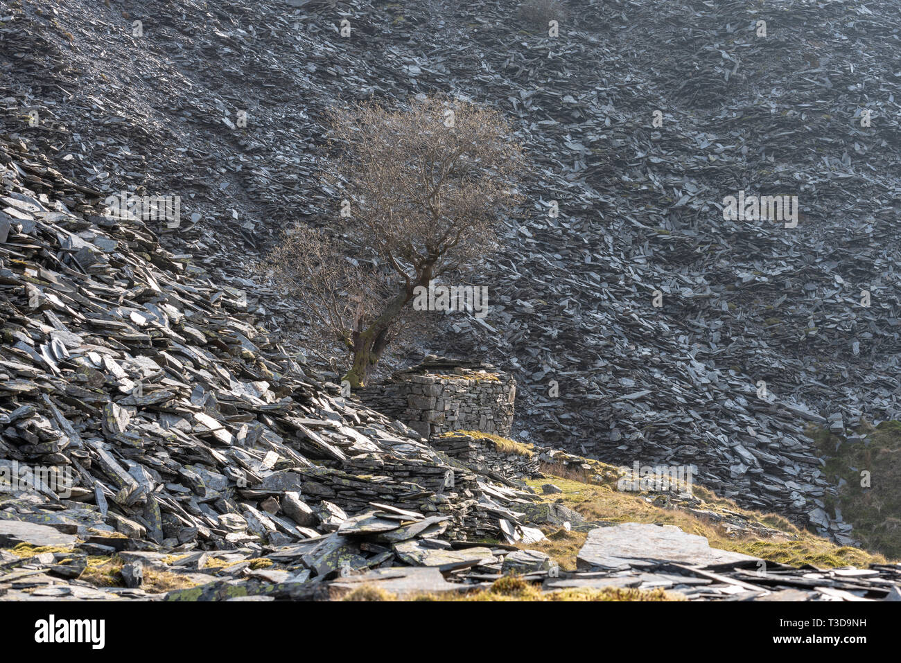 The abandoned Cwmorthin Terrace and Rhosydd Slate Quarry at Blaenau ...