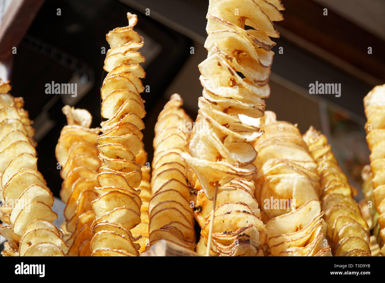 Fried potato chips on stick, Spiral potatoes fried, on wooden sticks, spiral. Selling food at ...