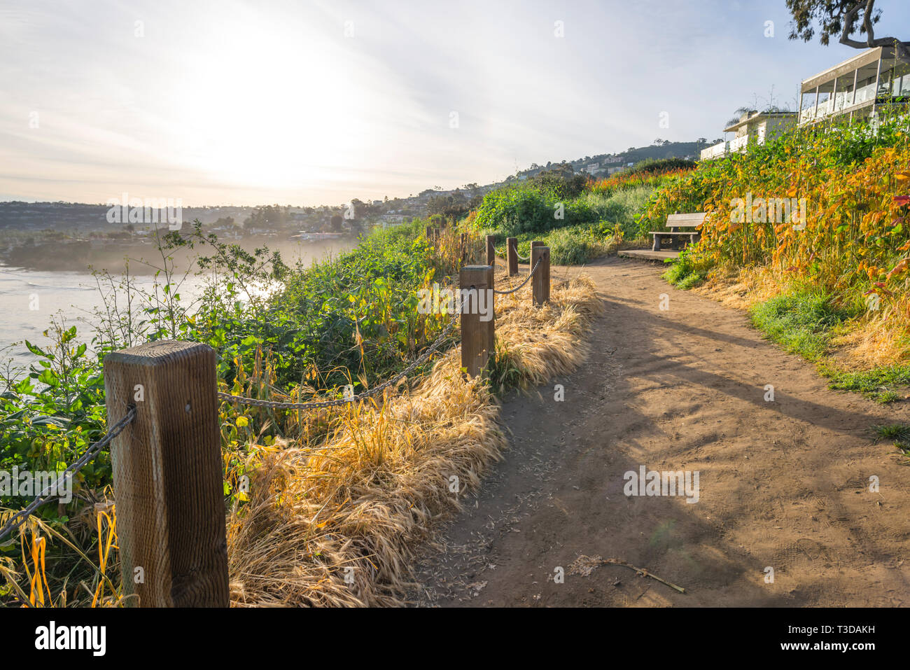 California coast wildflowers hi-res stock photography and images - Alamy