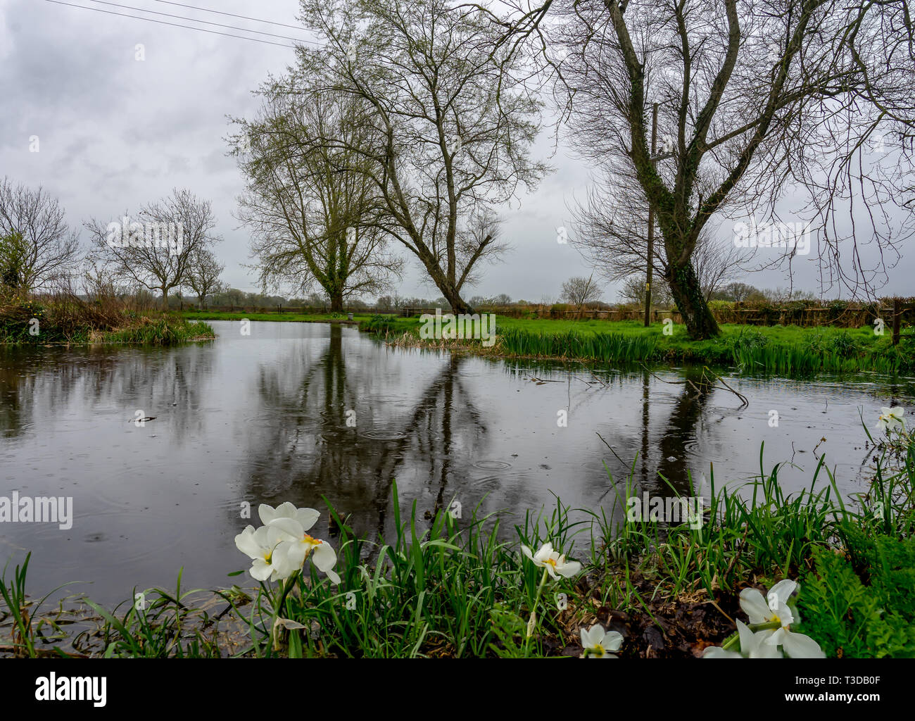 Rain clouds evening hi-res stock photography and images - Alamy