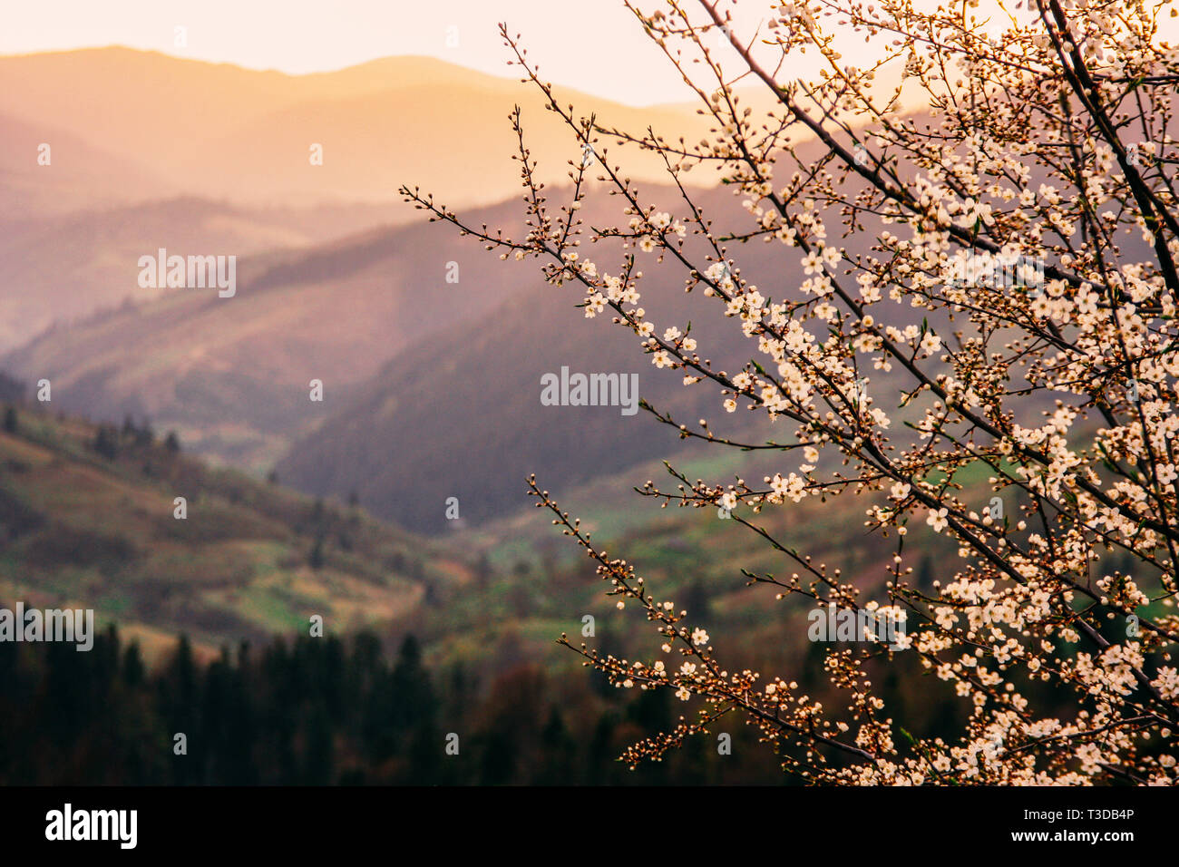 Warm spring mountain hi-res stock photography and images - Alamy