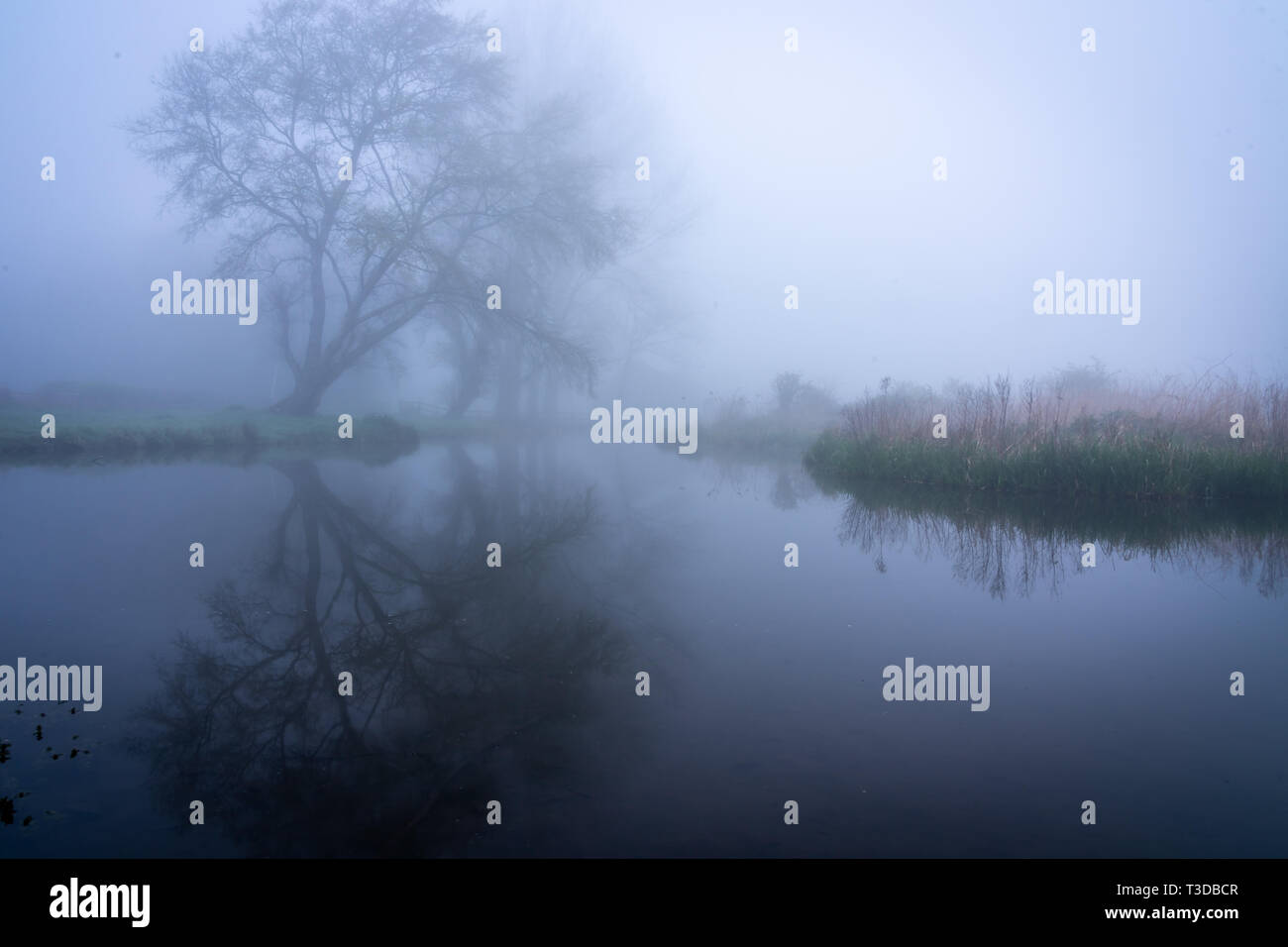 River bank reflections hi-res stock photography and images - Alamy