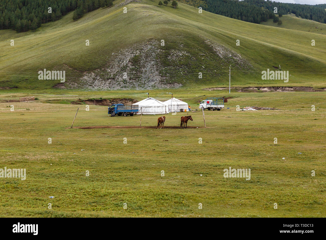 Mongol nomads camp, Mongolian steppe with grassland, yurts, horses and ...