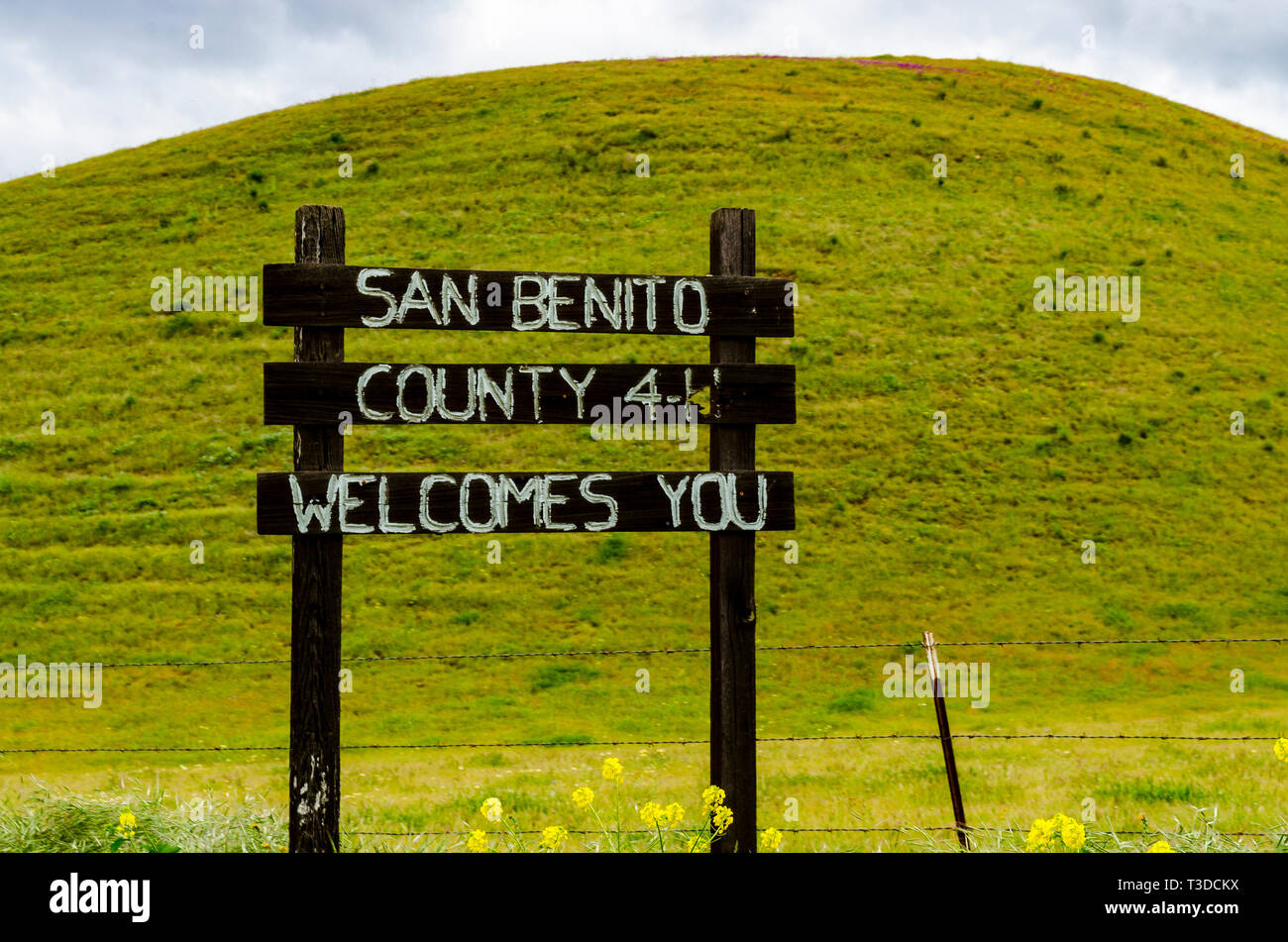 Superbloom in Central California's Diablo Mountain Range spring 2019 ...