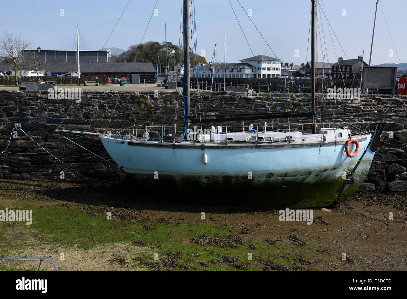 Fibreglass sailing boat with blue hull and algal growth on keel moored ...