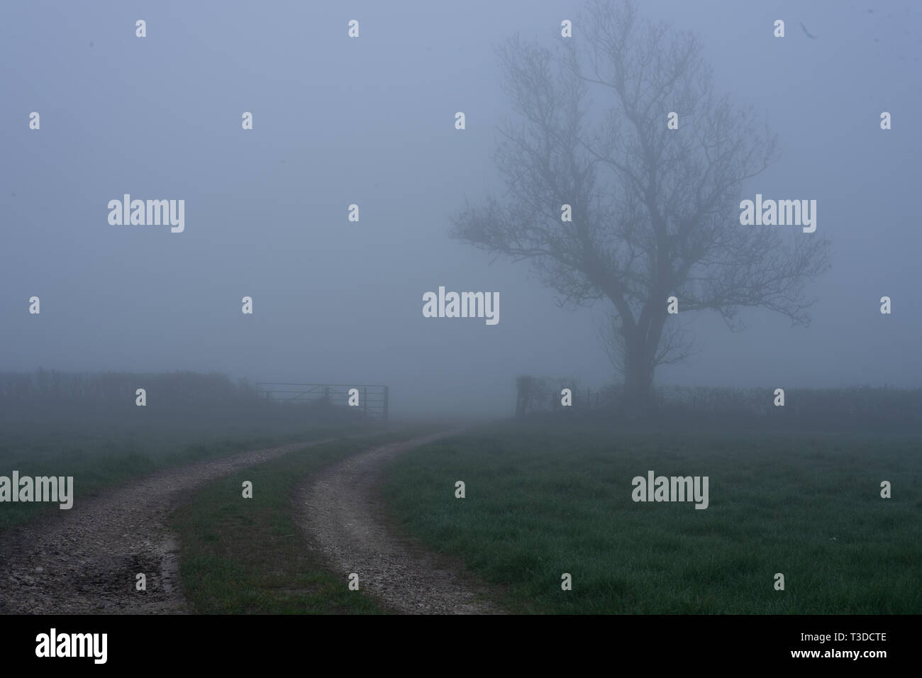 The path ahead is not always clear Stock Photo - Alamy