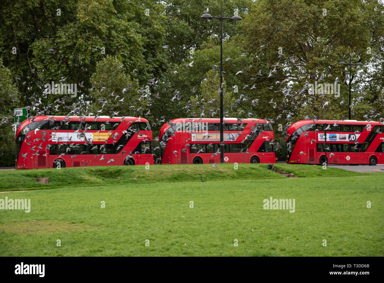 London, United Kingdom - August 28, 2018: London Red buses in the stop ...