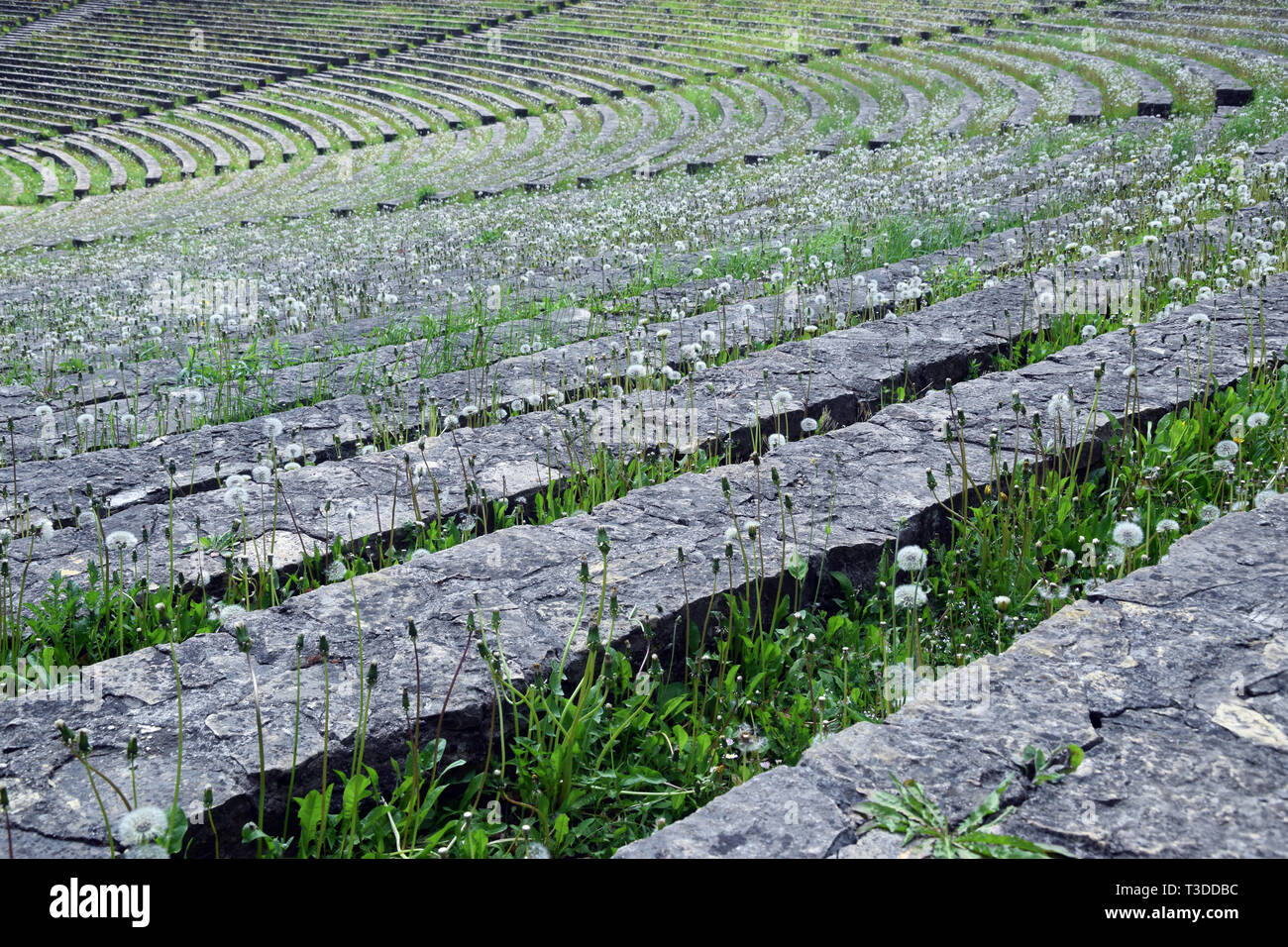 Amphitheater on St. Anna Mount. Old german (nazi) amphitheater in ...