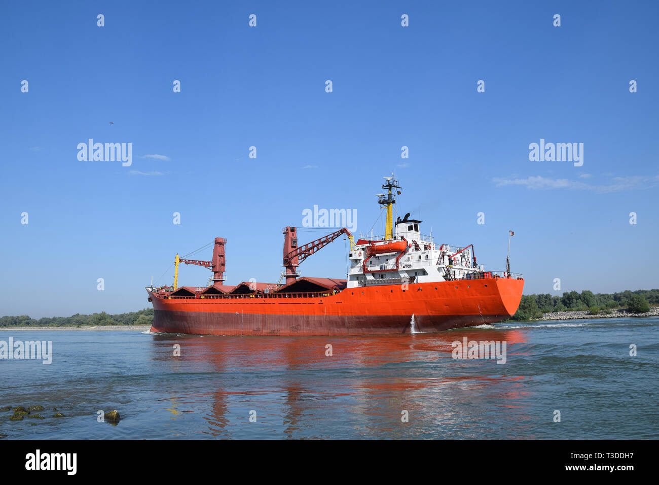 Cargo ship (bulk carrier) floats on the Danube river. Sulina, Danube ...