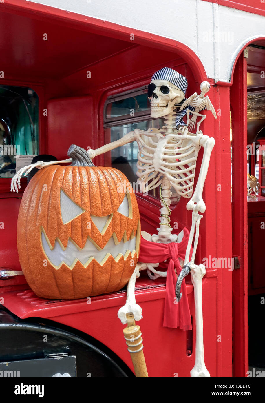 Halloween skeleton pirate with parrot skeleton, US, 2017 Stock Photo ...