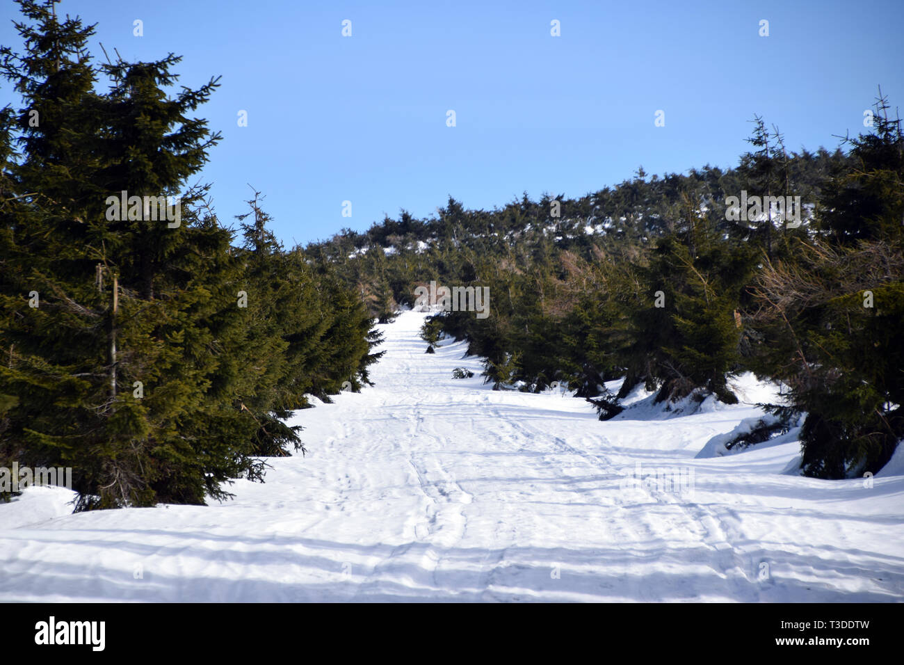 Snow mountain path. Mountain winter track. Winter landscape Stock Photo ...