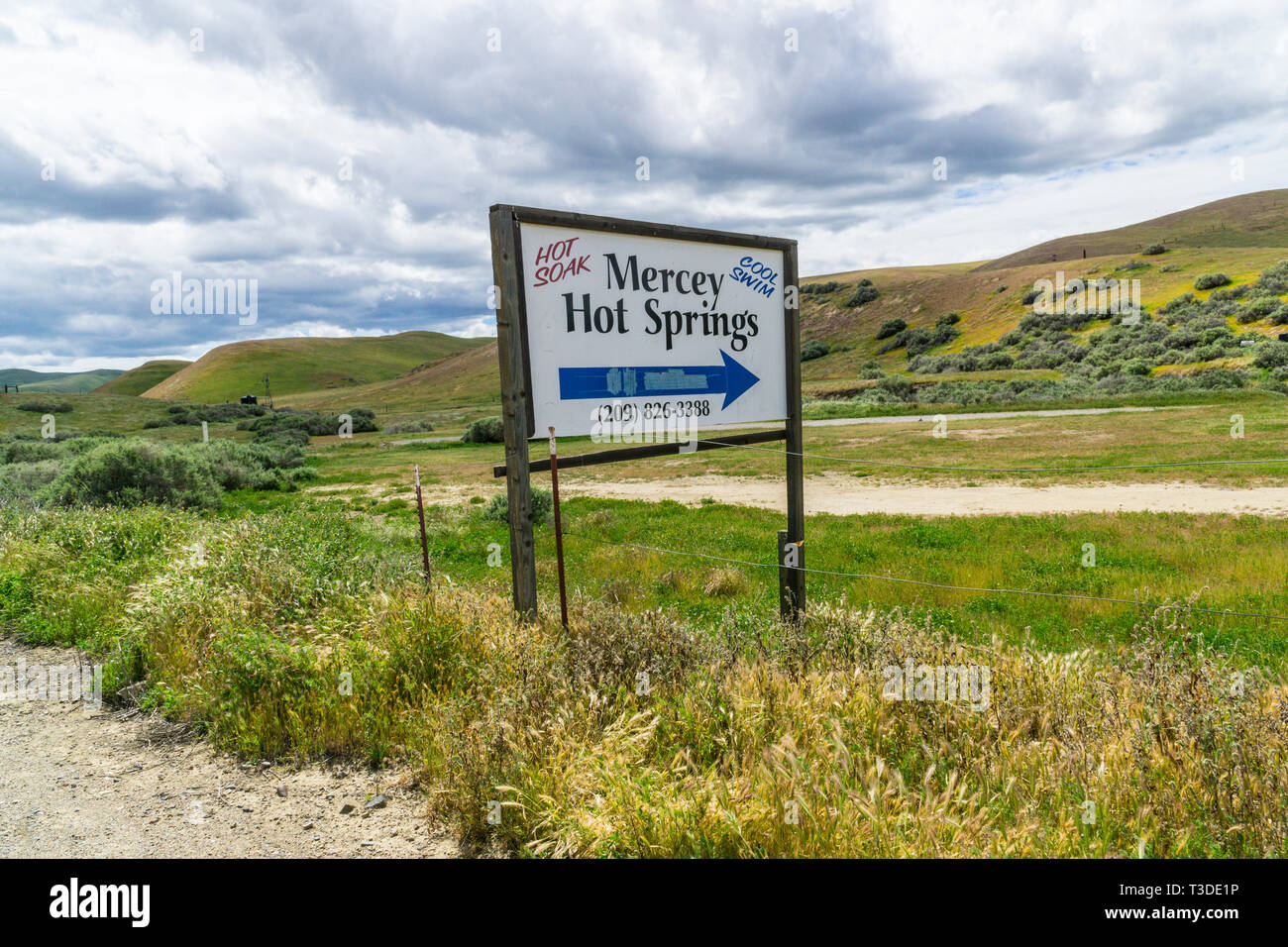 Superbloom in Central California's Diablo Mountain Range spring 2019 ...