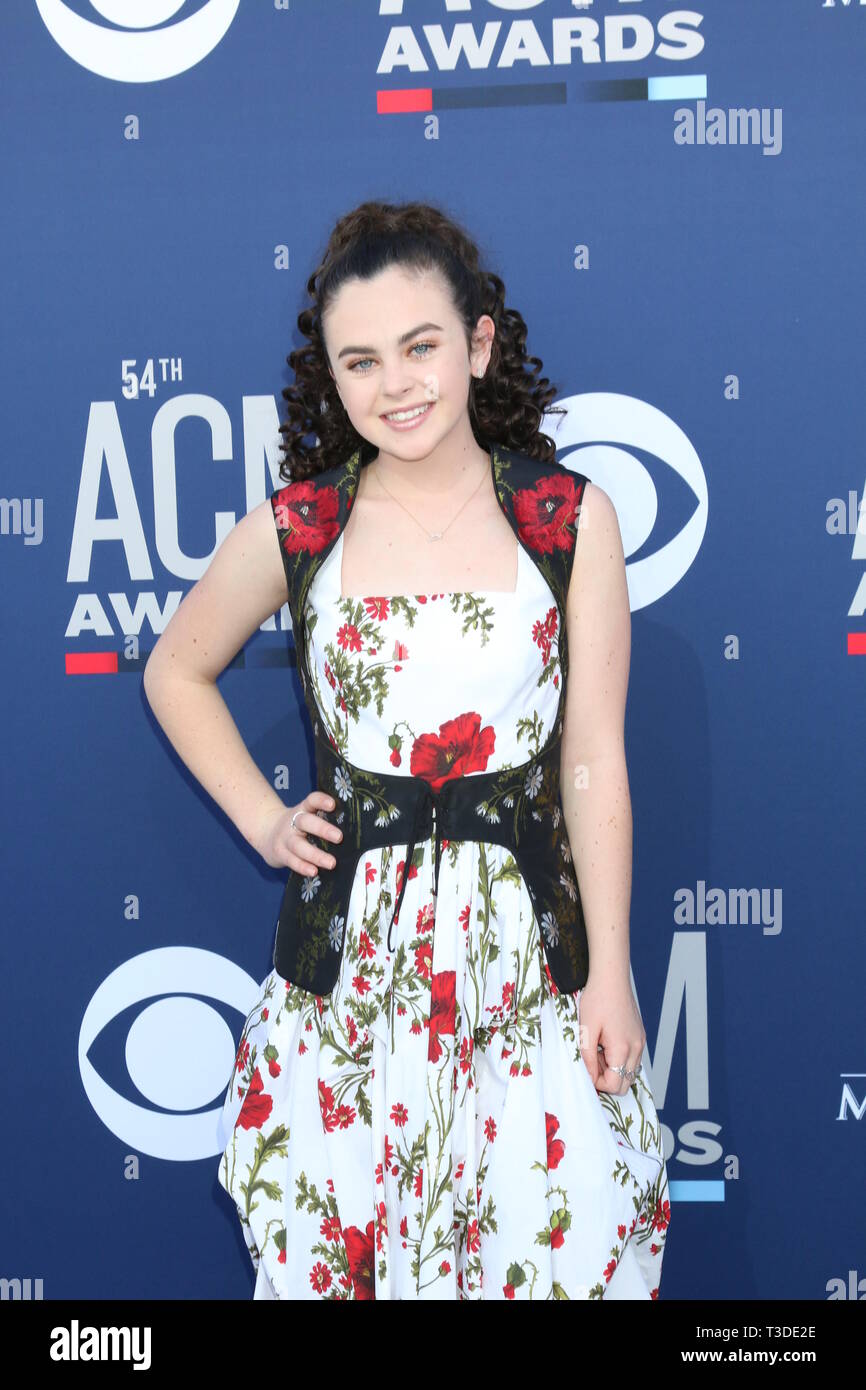 Chevel shepherd hi-res stock photography and images - Alamy