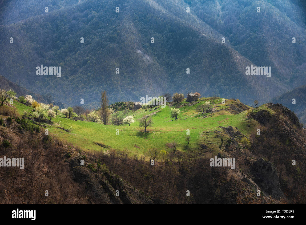 High paradise farm hi-res stock photography and images - Alamy